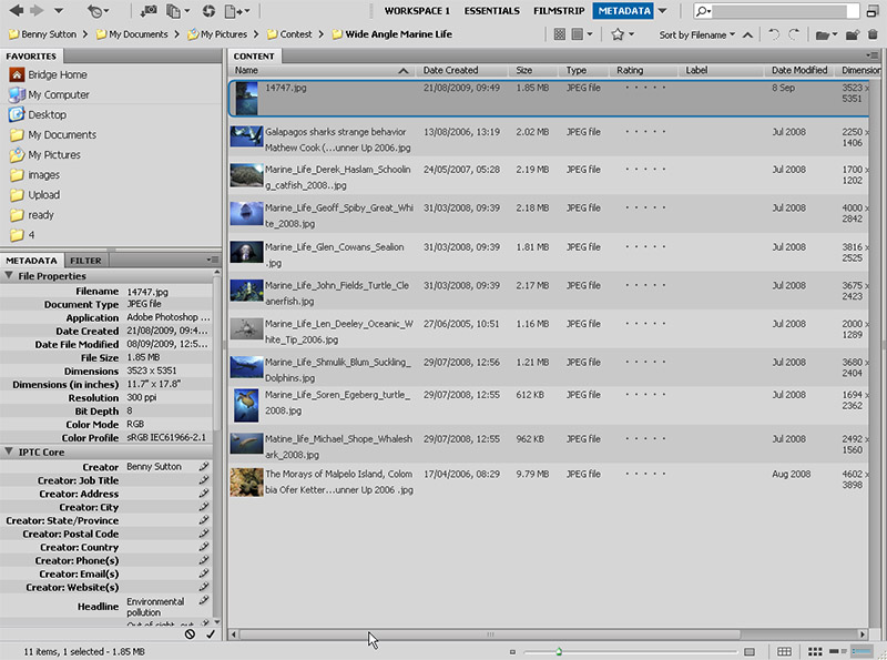 Adobe Bridge Metadata Mode