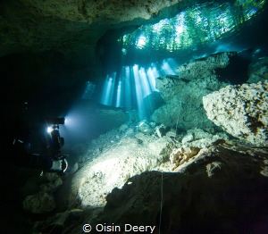Underwater Photo Contest Entries From Mexico
