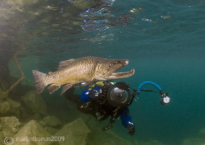 Underwater Photo Location: Capernwray Diving Centre