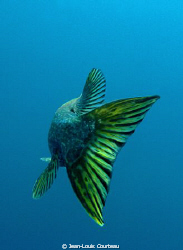 Underwater Photo Location: Morrison's Quarry, Wakefield, Quebec