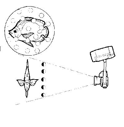 In this instance the flash is too close to the camera lens (for the ...